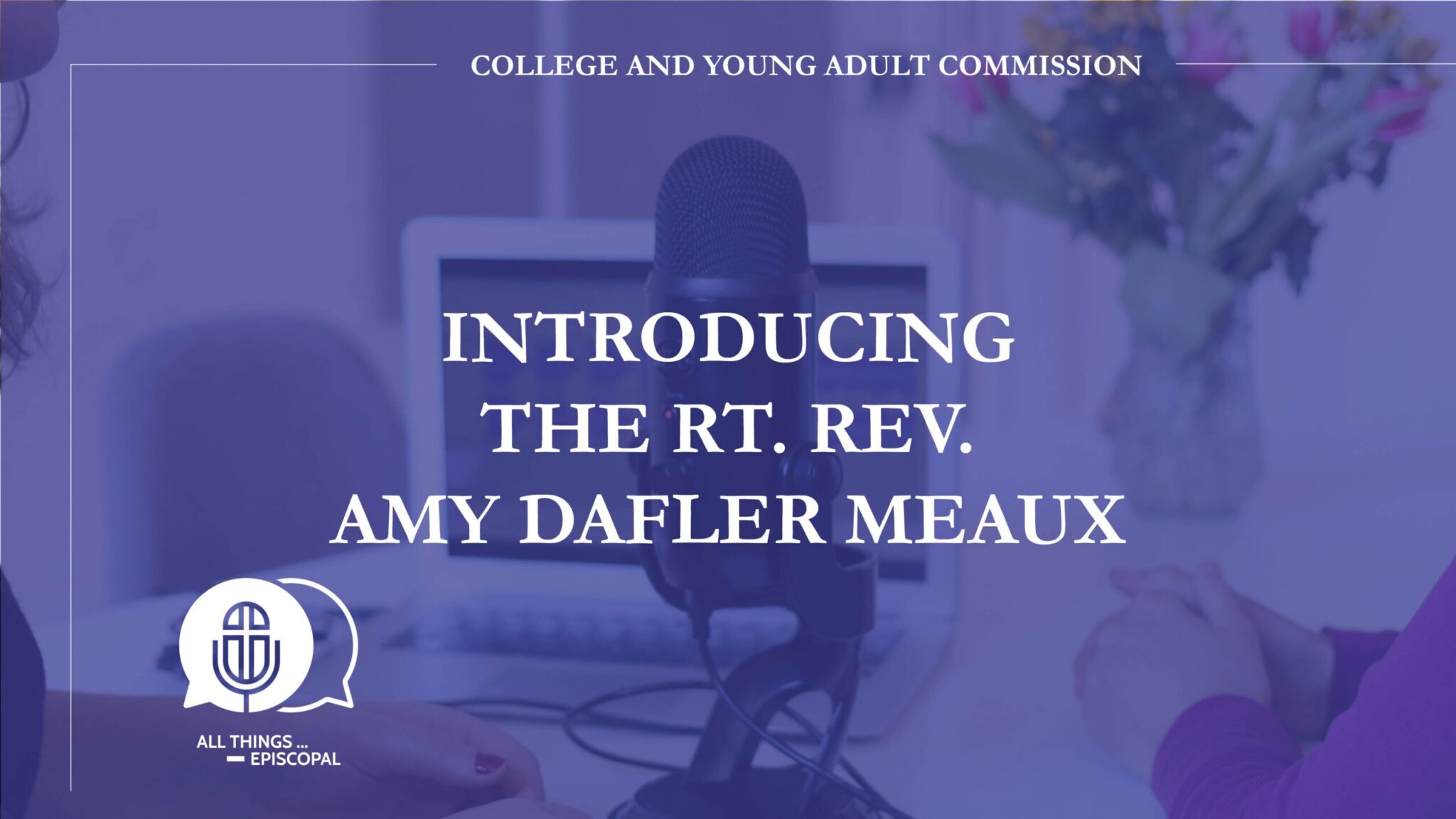 All Things ... Episcopal: Introducing the Rt. Rev. Amy Dafler Meaux ...